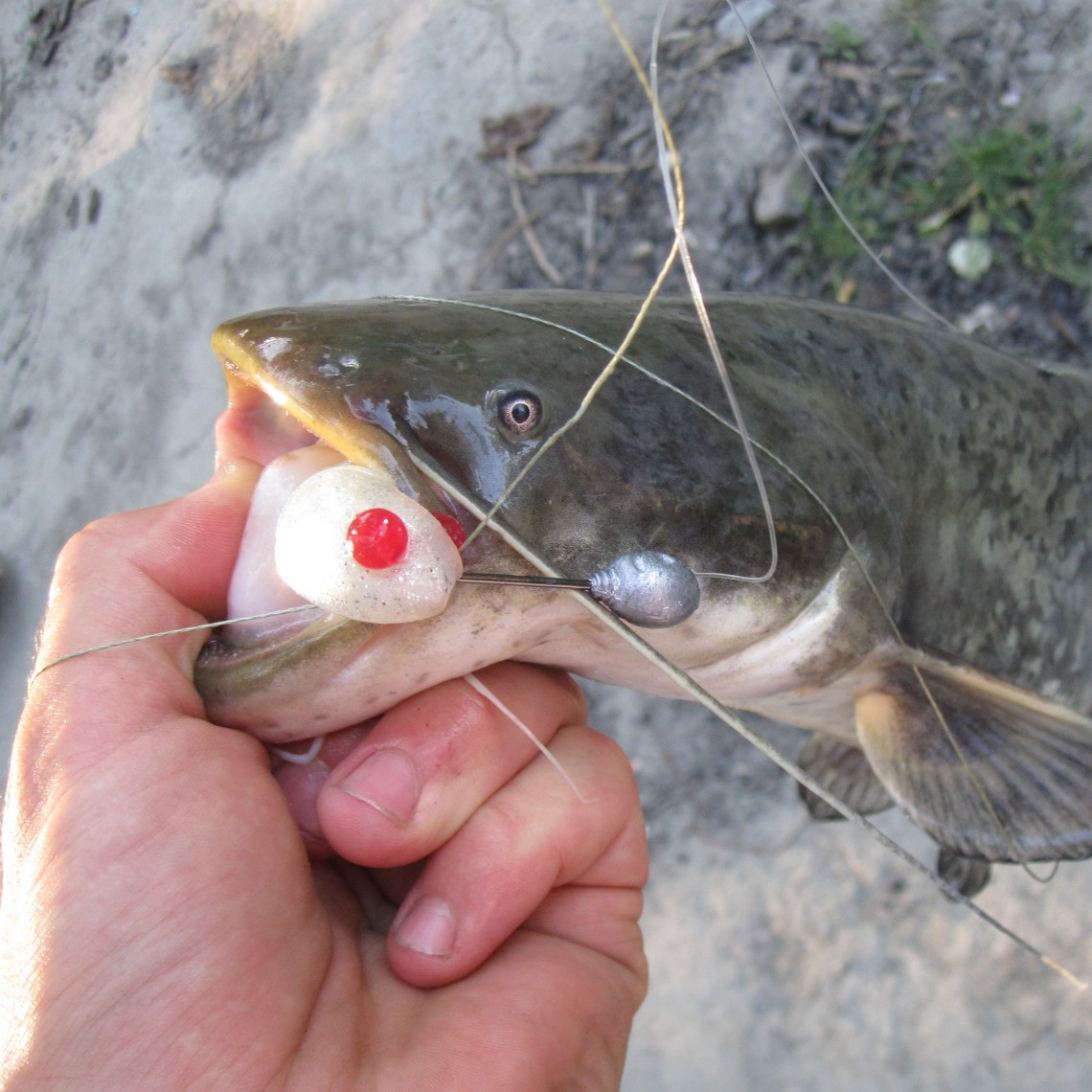 Amorces et appâts spéciaux pour la pêche au meilleur prix | Ma Canne A ...
