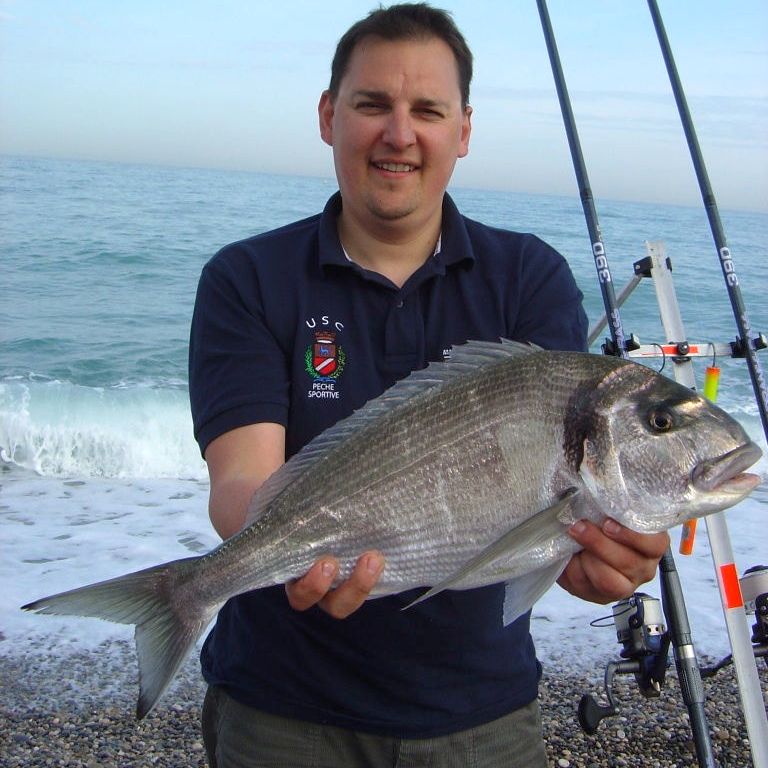 Quelle canne à pêche pour daurade choisir ? | Ma Canne A Peche MCAP