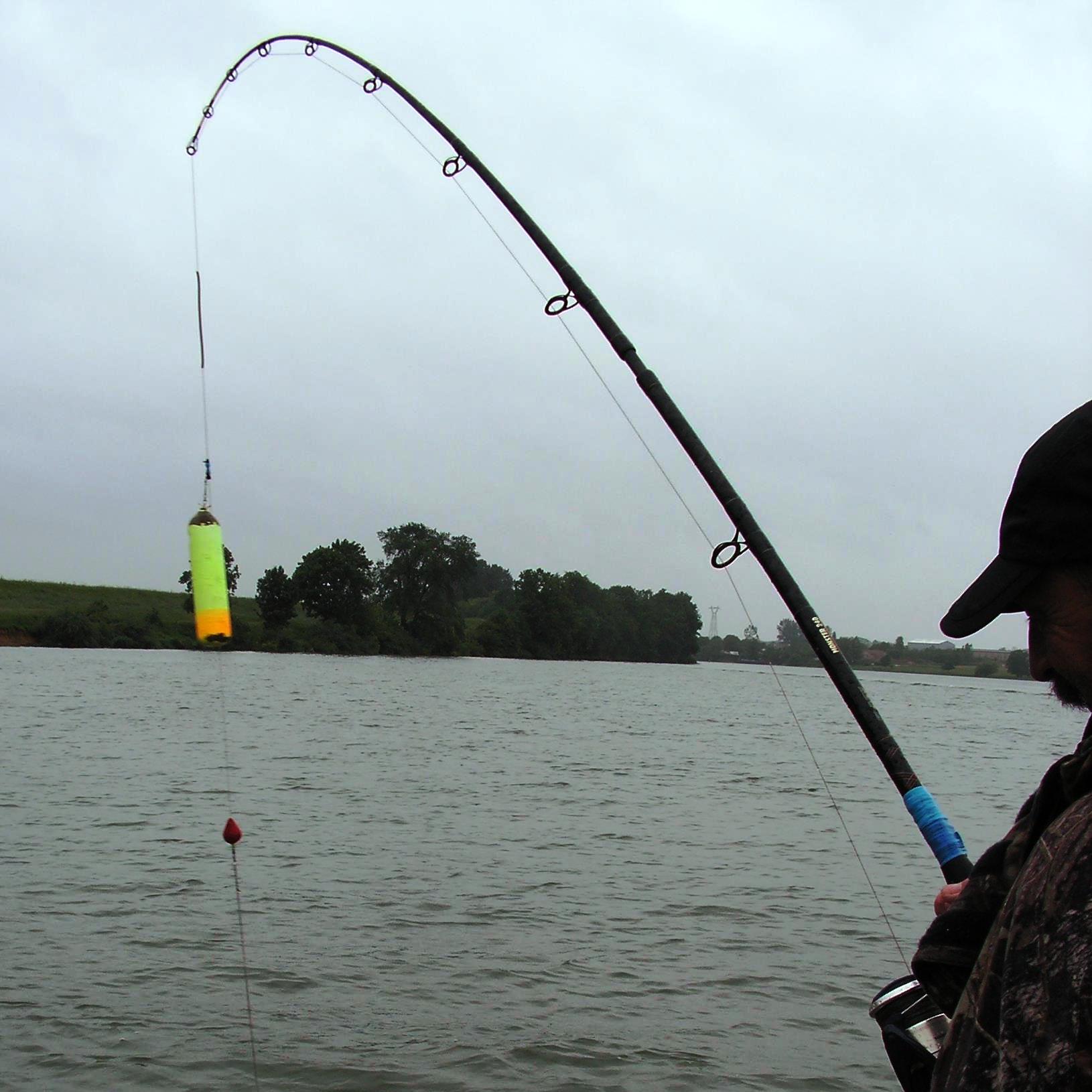 Cannes à pêche Mitchell : les meilleurs modèles | Ma Canne A Peche MCAP